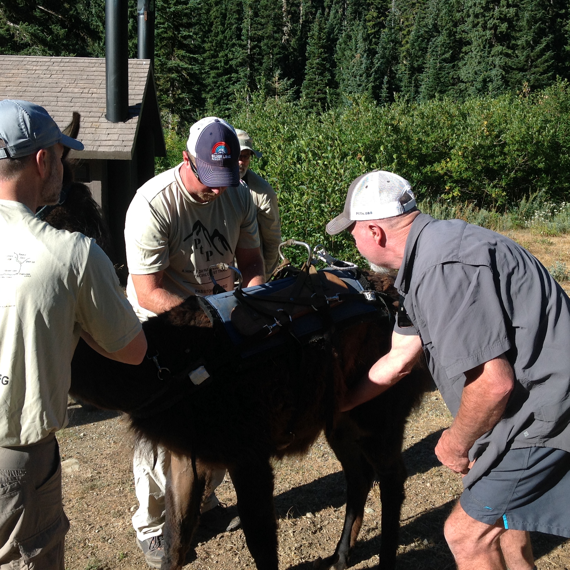 image4 | Pass to Pass