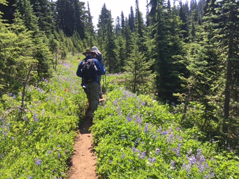 Img 0476 Pass To Pass