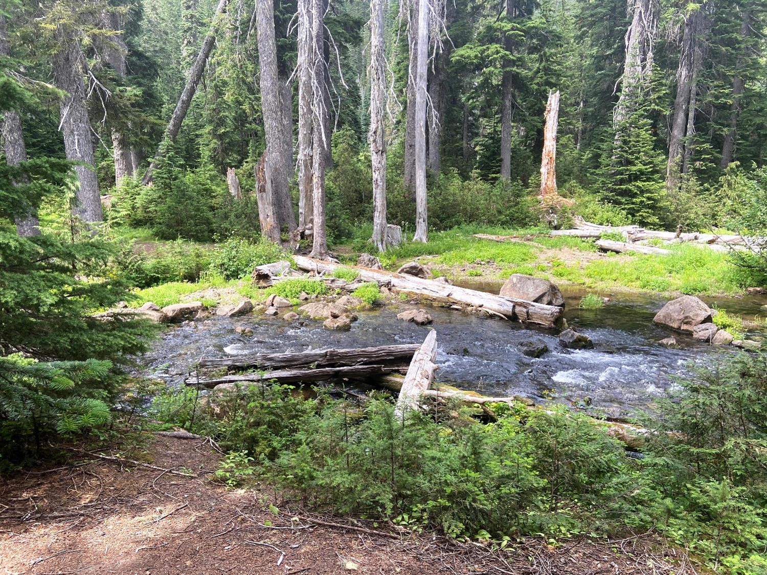 bumping-river-2020 | Pass to Pass