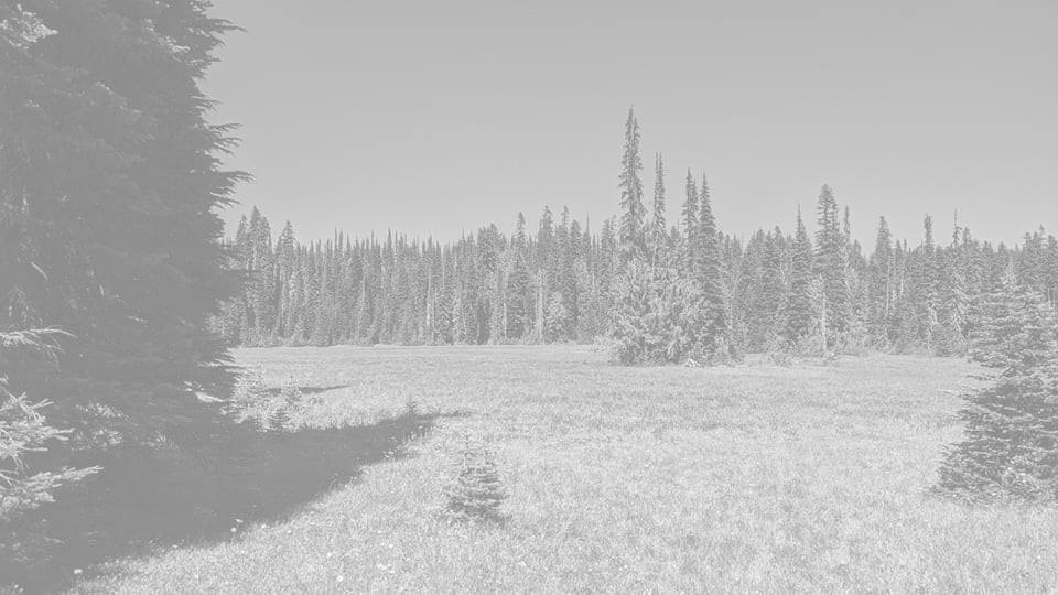 contact-form-bkg-ptp | Pass to Pass