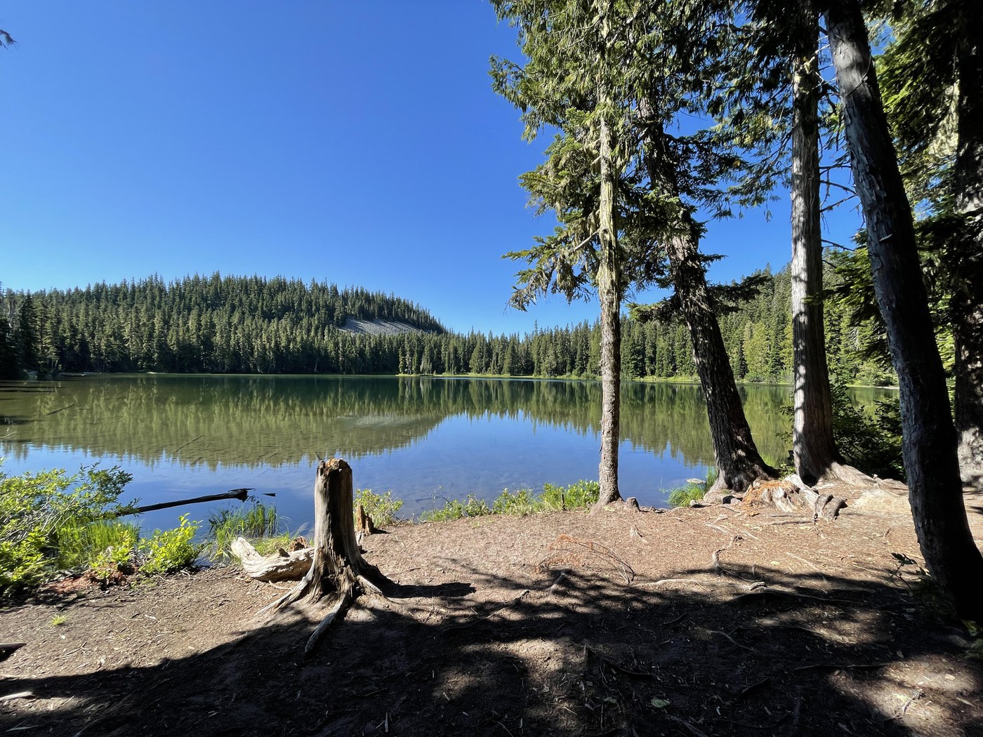 deer-lake-2021-wta | Pass to Pass