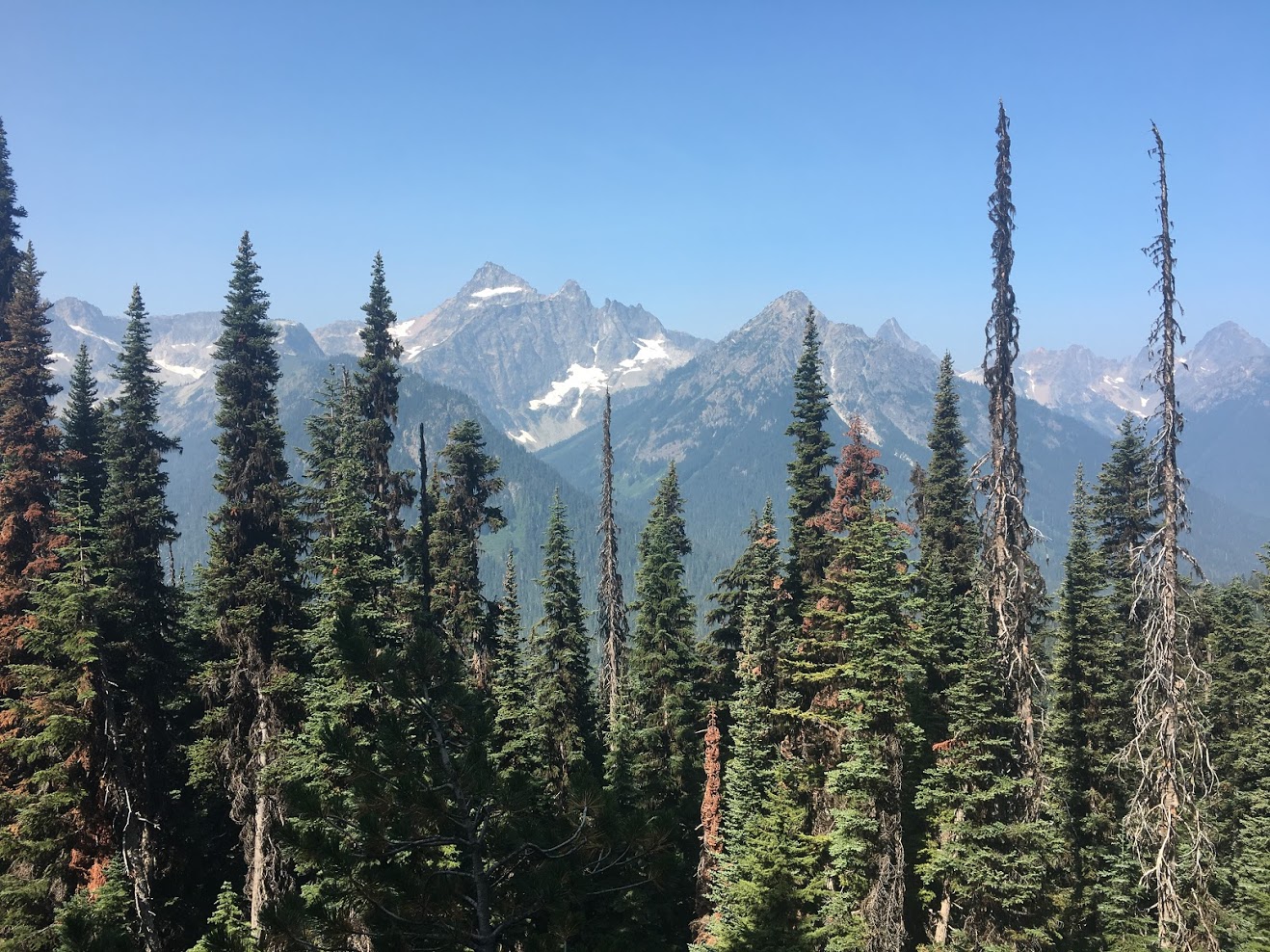 evergreen-header-ptp | Pass to Pass