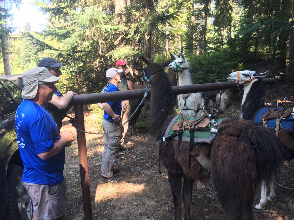 llamas-hikers-ptp | Pass to Pass