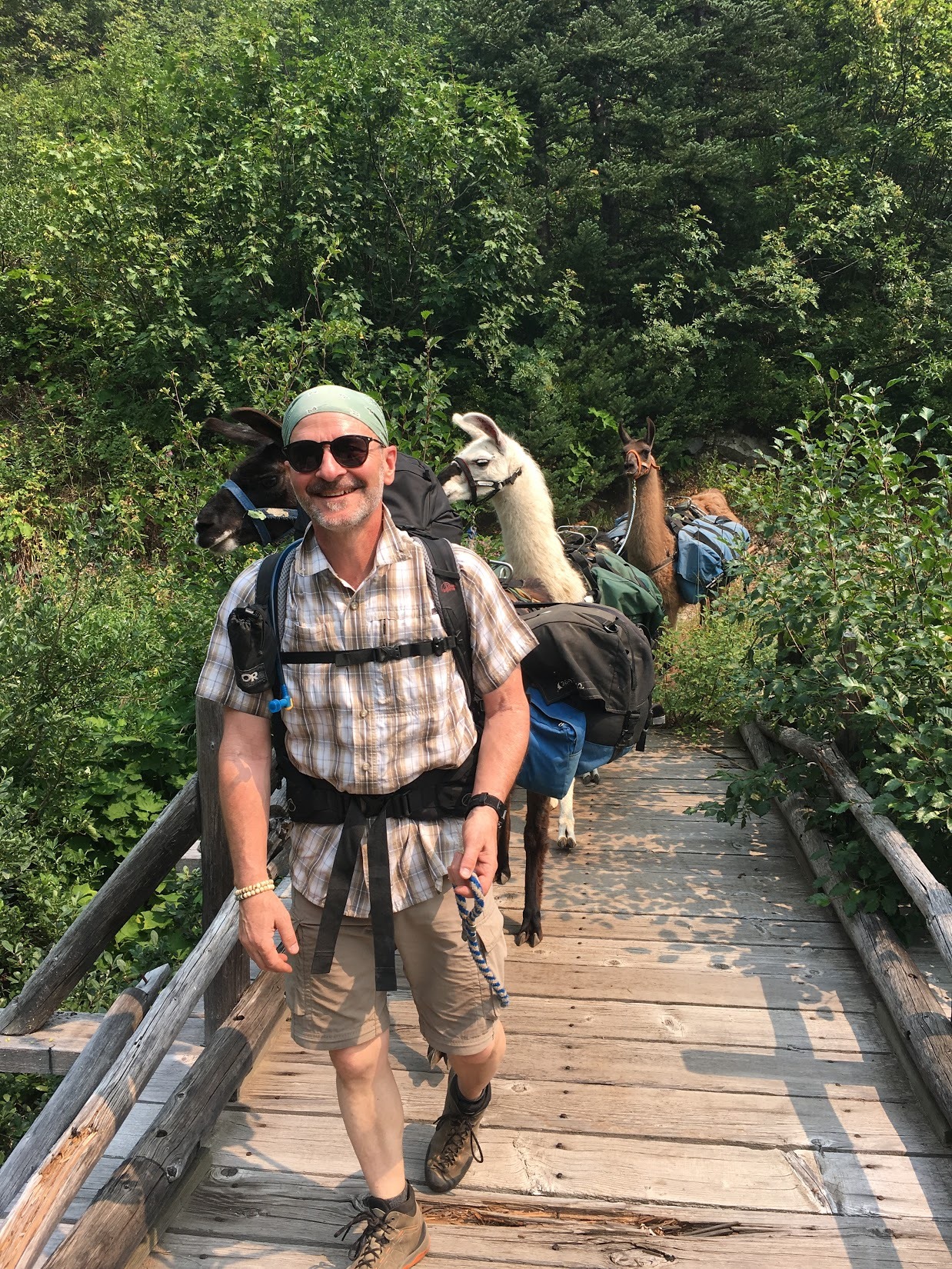 llamas-leader1-ptp | Pass to Pass