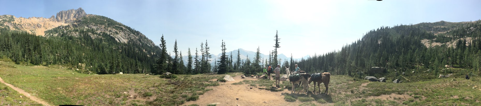 pan-header-ptp | Pass to Pass