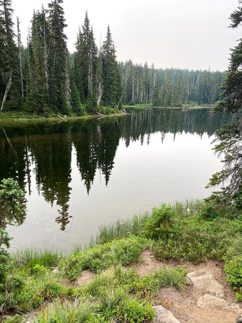 snowlake-2021 | Pass to Pass