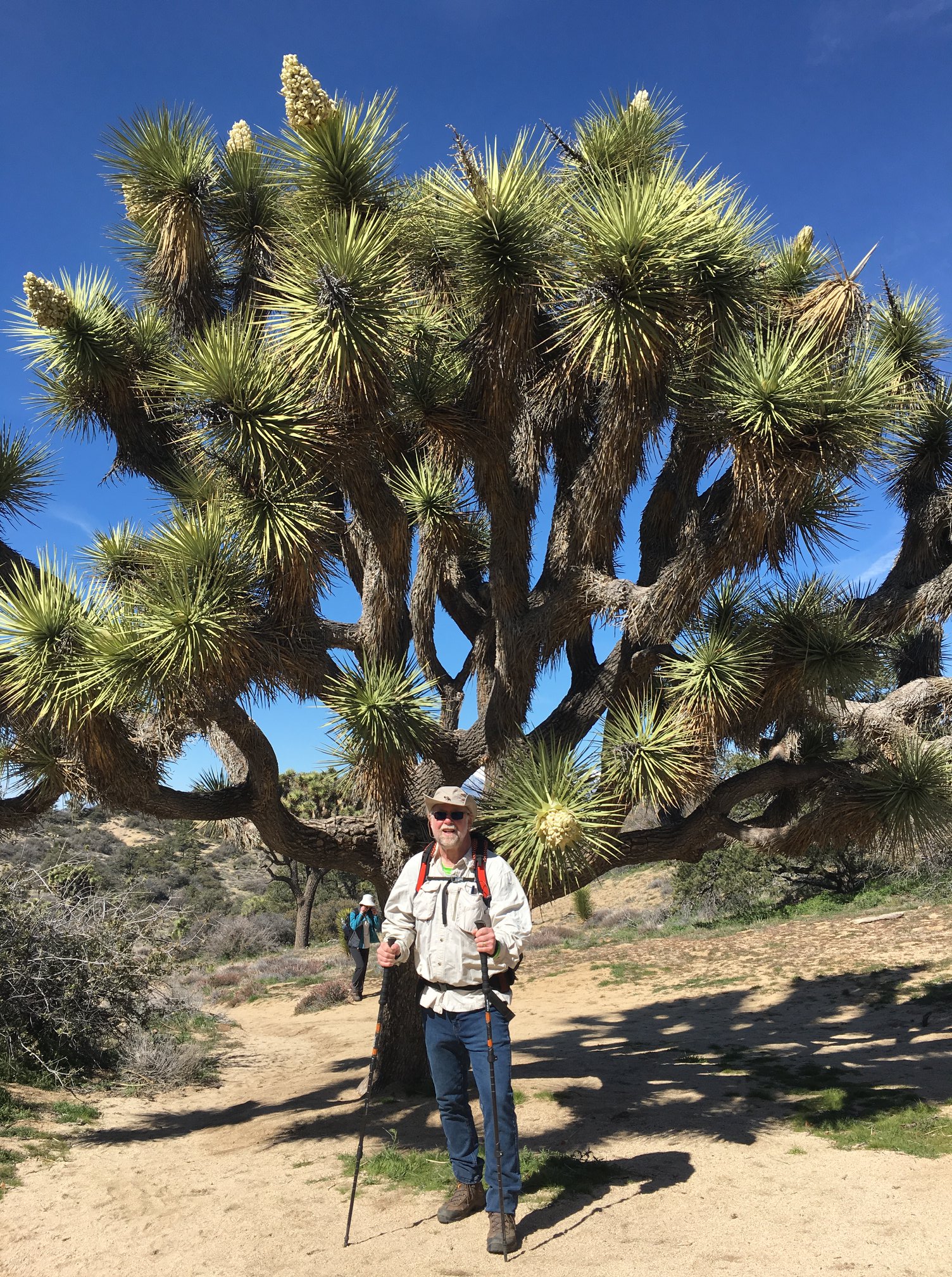 yucca-valley1-ptp | Pass to Pass