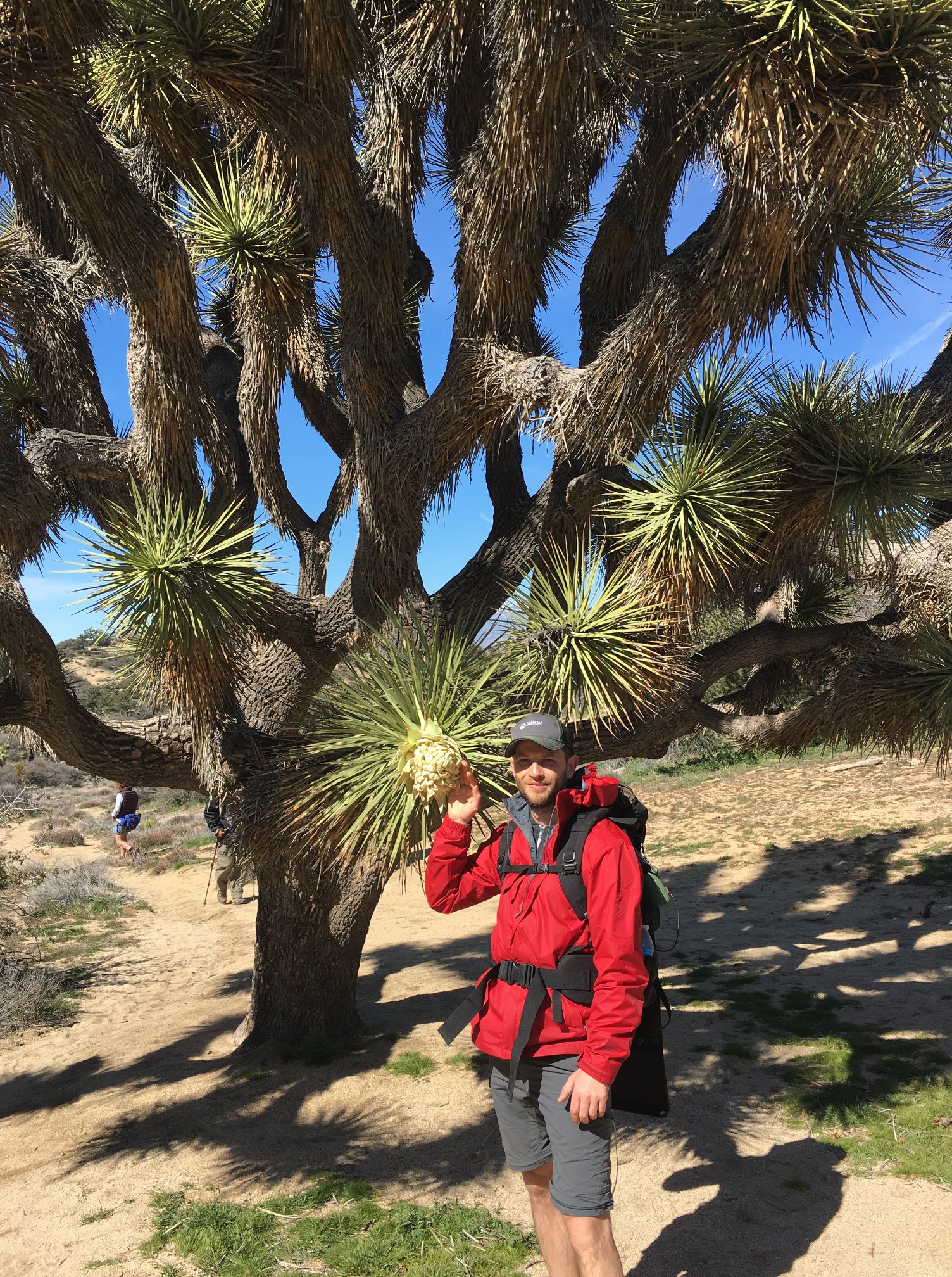 yucca-valley2-ptp | Pass to Pass